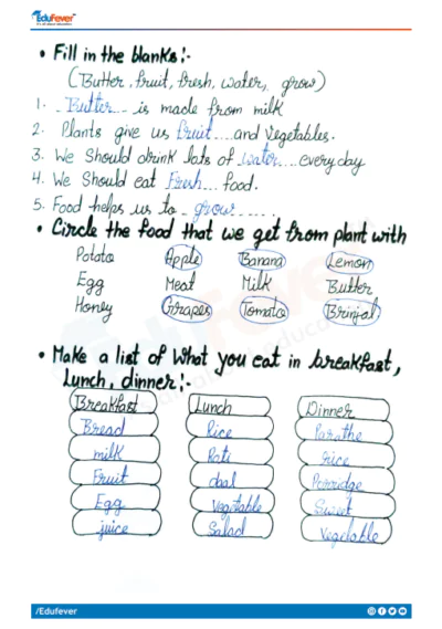 Class 1 EVS Food Worksheet with Solution