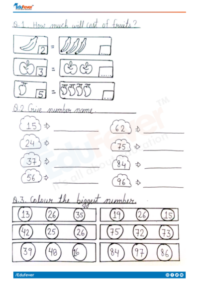 Class 1 Math How Many Worksheet with Solution