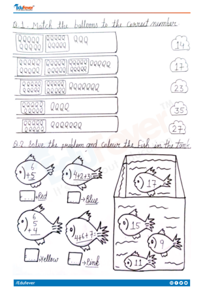 Class 1 Math How Many Worksheet with Solution