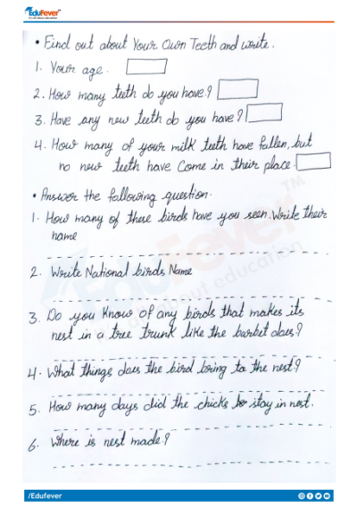 CBSE Class 4 EVS A Busy Month Worksheet with Solutions