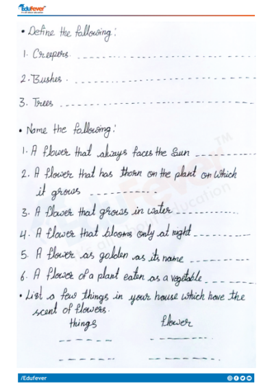 CBSE Class 4 EVS The Valley of Flowers Worksheet with Solutions