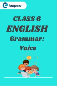 CBSE Class 6 English Grammar Verbs Worksheets