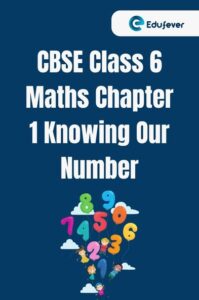 Class 6 Maths Knowing Our Numbers Worksheet in PDF