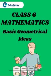 Class 6 Maths Chapter 4 Basic Geometrical Ideas Worksheets