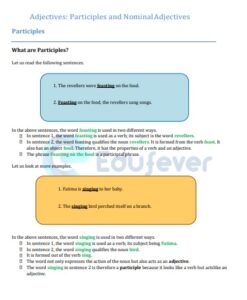 CBSE Class 7 English Grammar Adjectives Worksheets