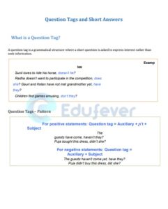 CBSE Class 7 English Grammar Question Tags Worksheets