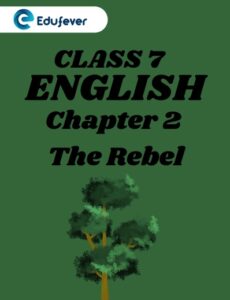 Class 7 The Rebel Questions and Answers