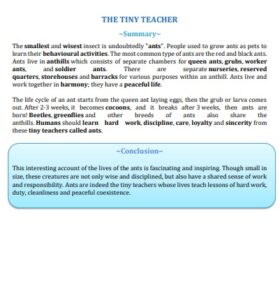 CBSE Class 7 English The Tiny Teacher Worksheets