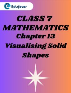 Class 7 Maths Chapter 13 Visualising Solid Shapes Worksheet