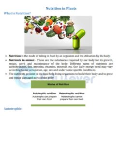 Class 7 Science Chapter 1 Nutrition in Plants