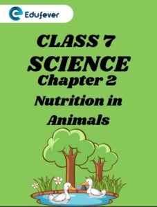 Class 7 Science Chapter 2 Nutrition in Animals