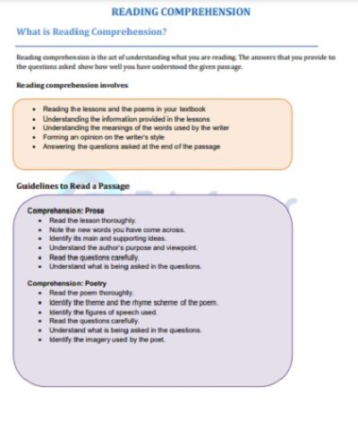 CBSE Class 6 English Grammar Reading Comprehension