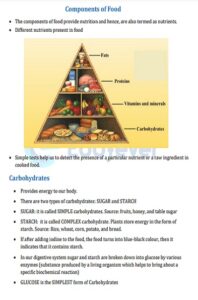 Class 6 Science Chapter 1 Components of Food