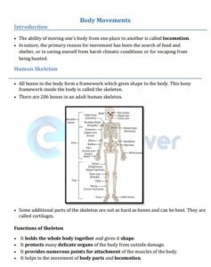 Class 6 Science Chapter 5 Body Movements