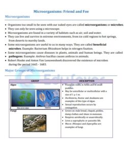 Class 8 Science Chapter 2 Microorganisms Friend and Foe