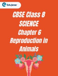 Class 8 Science Chapter 6 Reproduction in Animals